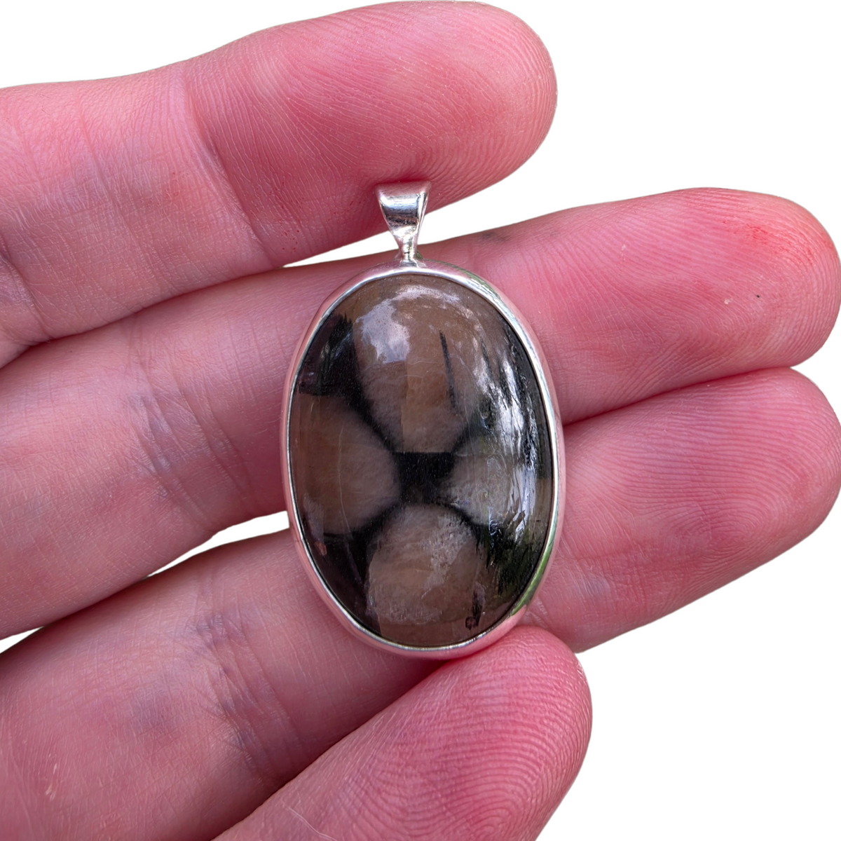 Gemstone Talisman, Chiastolite (Fairy Stone), Carpe Diem – KathrynRiechert